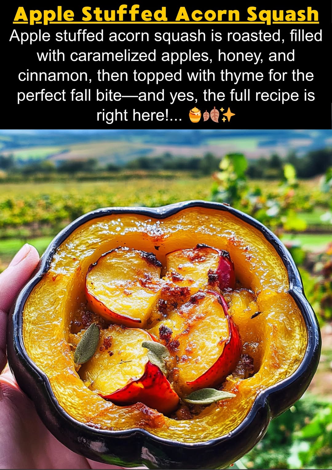 Apple Stuffed Acorn Squash – glassika recipes